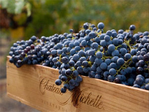 John Sarich, Culinary Director at Chateau Ste Michelle - Luxe Beat Magazine