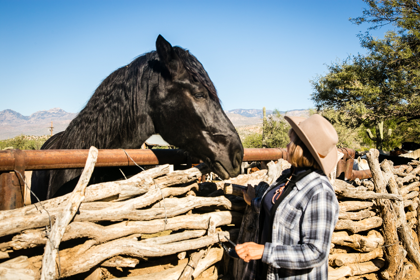 In the Saddle at Tanque Verde Dude Ranch - Luxe Beat Magazine