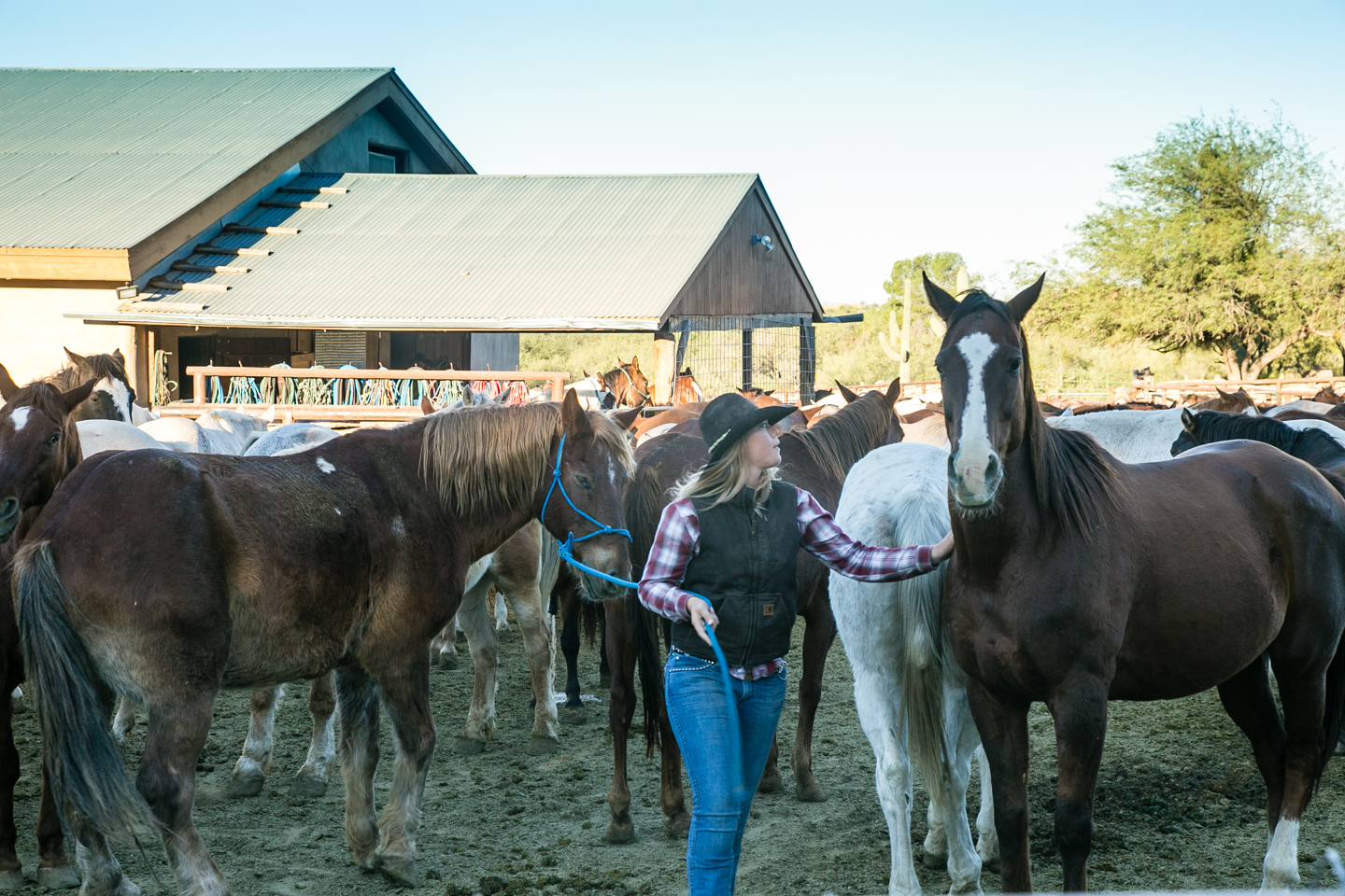 In the Saddle at Tanque Verde Dude Ranch - Luxe Beat Magazine