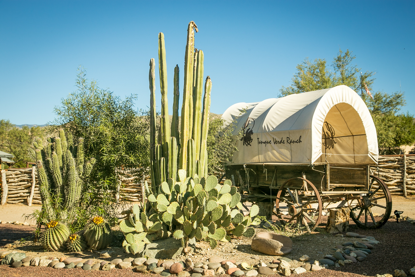 In the Saddle at Tanque Verde Dude Ranch - Luxe Beat Magazine