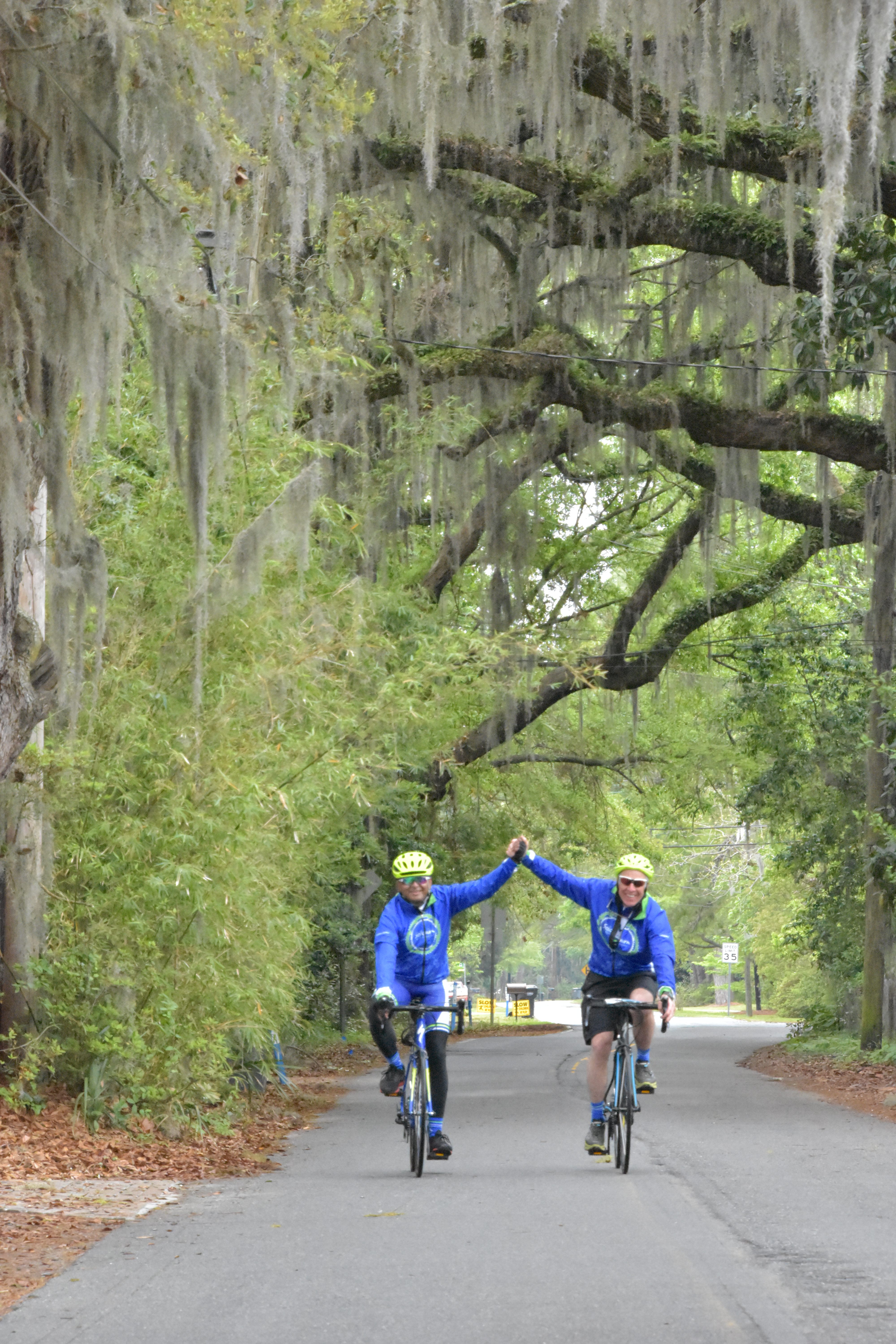 Explore Savannah, Charleston by Bike - Luxe Beat Magazine