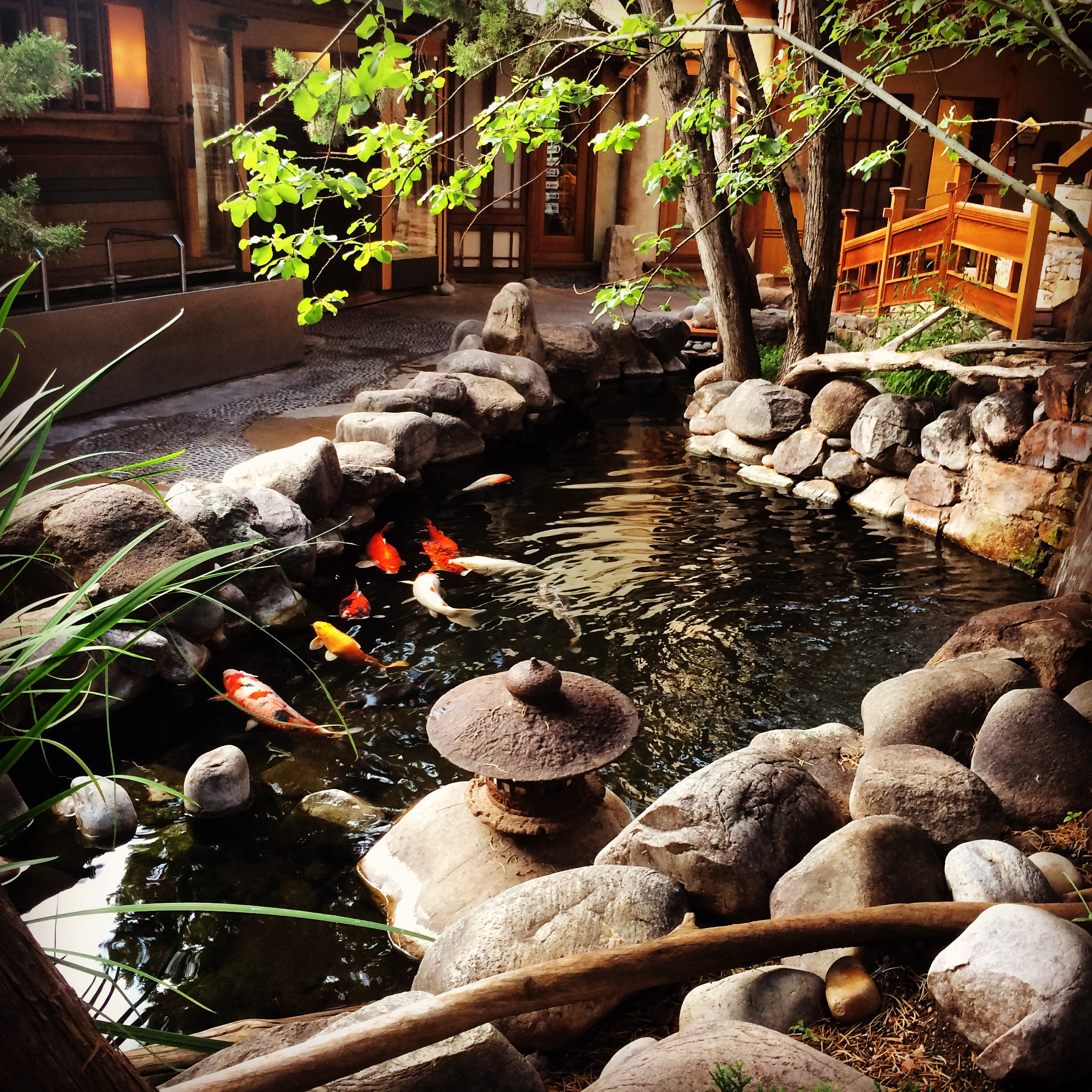 Soak Up the Ryokan Vibes at Ten Thousand Waves - Luxe Beat Magazine
