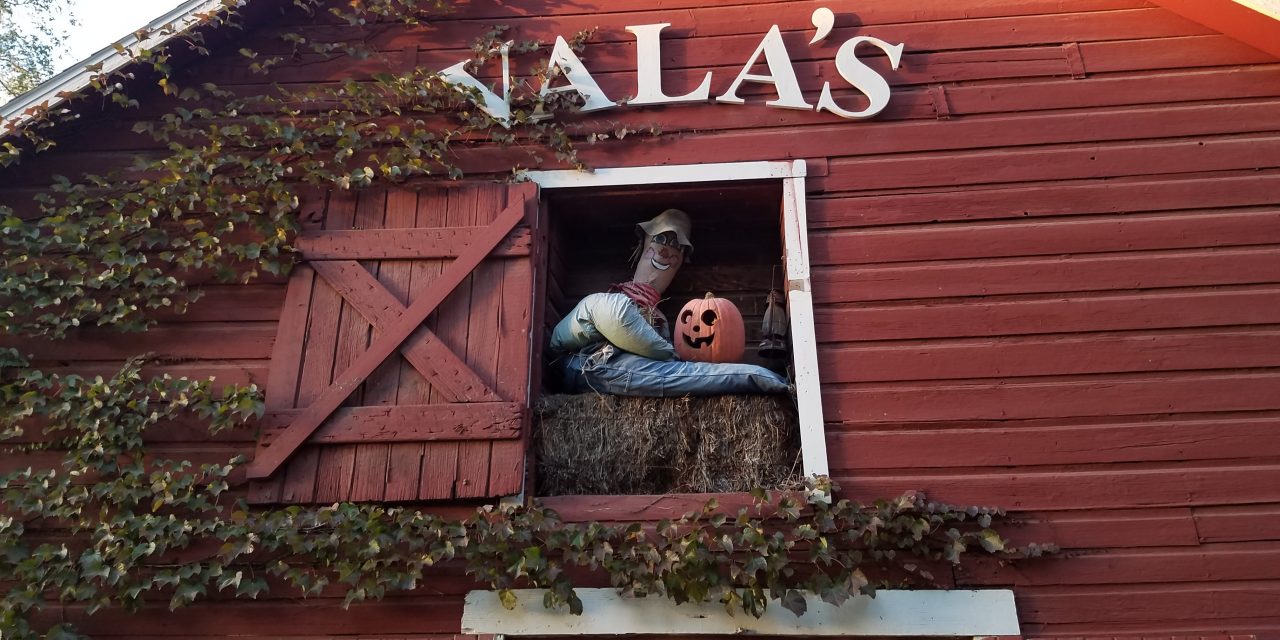 Vala’s Pumpkin Patch: Holiday Family Fun In Nebraska - Luxe Beat Magazine