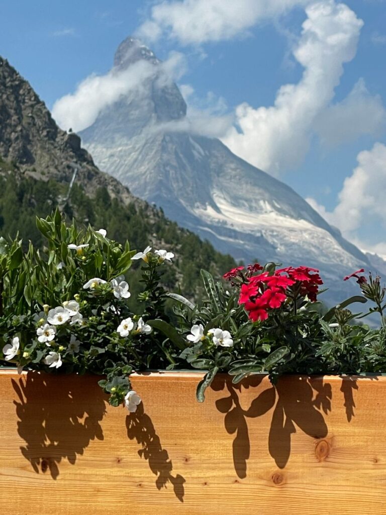 Discover quintessential Switzerland in the realm of the mighty ...