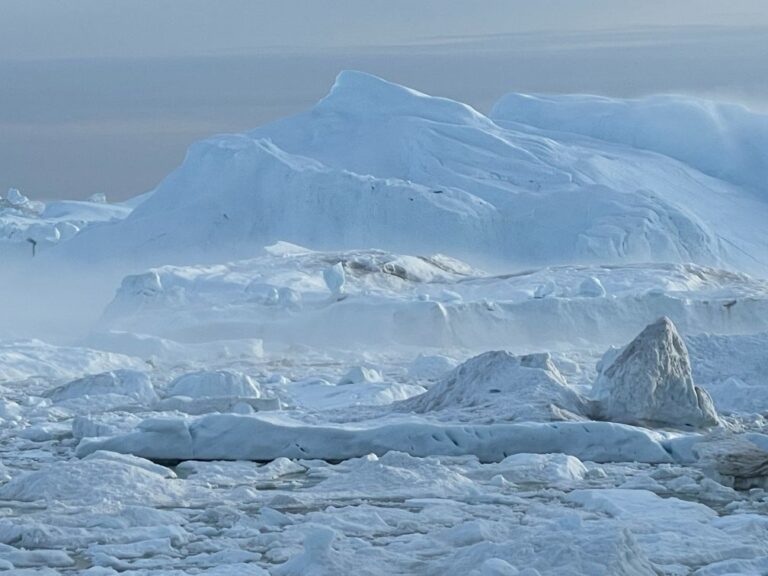Discover the wonders of Greenland on a voyage with Albatross ...