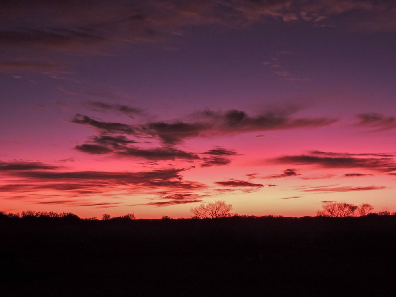 Explore More of Australia Aboard the Ghan – A Luxury Train Ride - Luxe ...