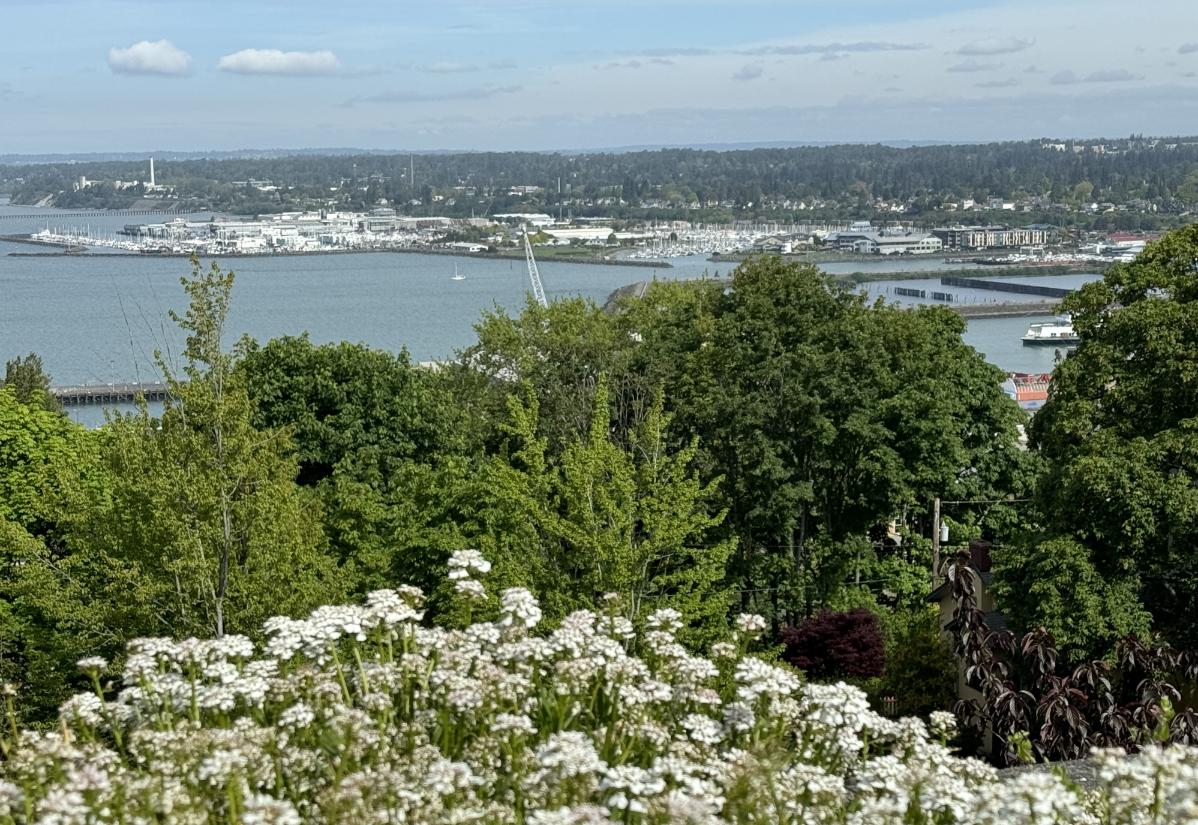 Make Bellingham your next Northwest escape - Luxe Beat Magazine