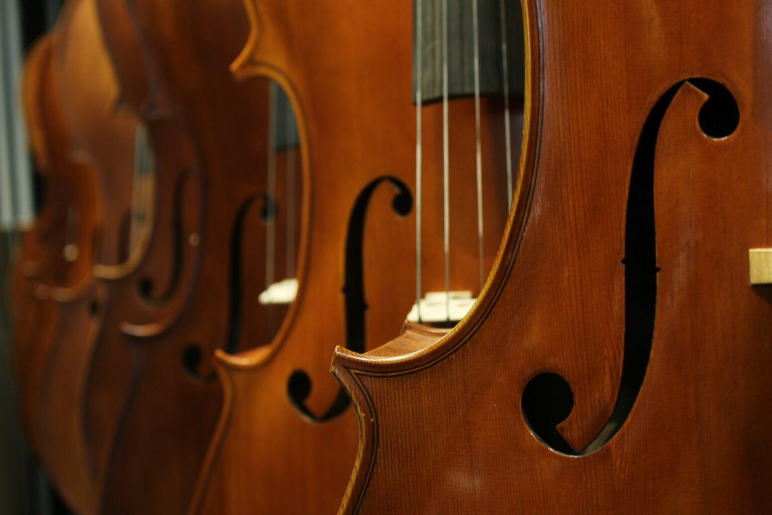 The Allure of Samuel Shen Double Basses: An In-Depth Exploration - Luxe ...