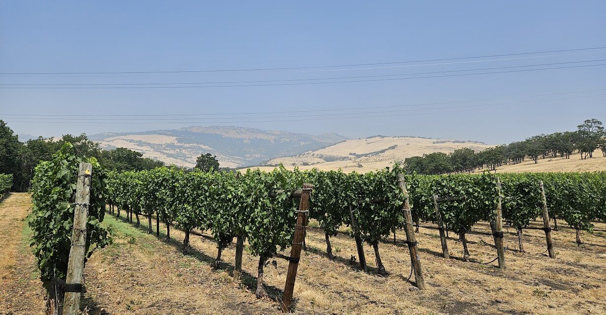 The Rogue Valley Southern Oregon Wine Country - Luxe Beat Magazine