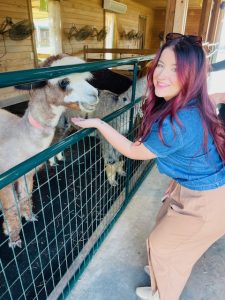 Art, History & Culinary Delights in Brenham, Texas - Luxe Beat Magazine