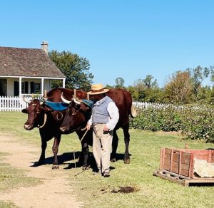 Art, History & Culinary Delights in Brenham, Texas - Luxe Beat Magazine